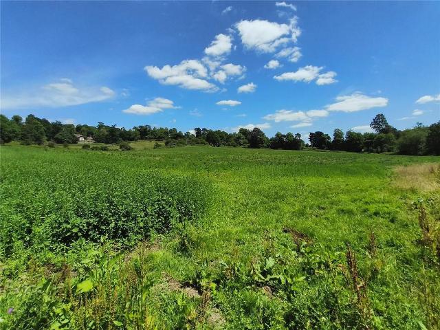 Equestrian facility for sale
