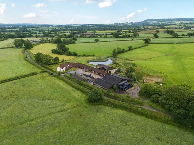 Equestrian facility for sale