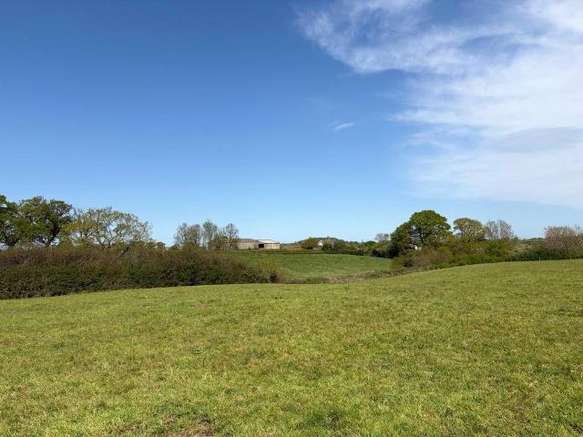 Equestrian facility for sale