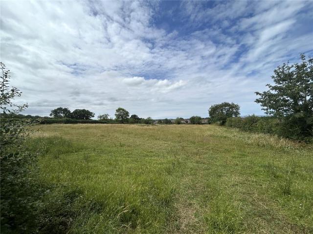Equestrian facility to rent