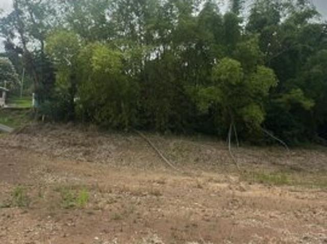 Er Bo Barros #,orocovis, Plot For Sale