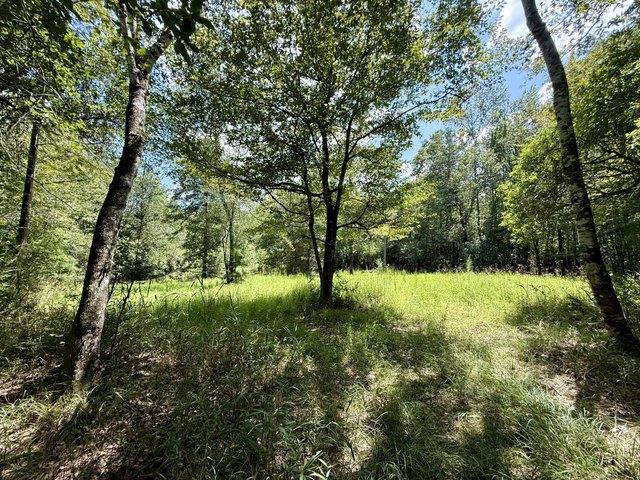 Ernest Everett Rd, Vinegar Bend, AL 36584