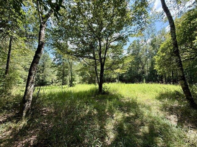 Ernest Everett Rd, Vinegar Bend, Plot For Sale