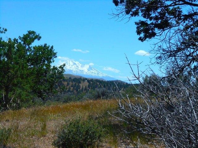 Erick Ln # 25ACRES, Montague, CA 96064