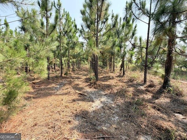 Erick Rd, Alamo, GA 30411