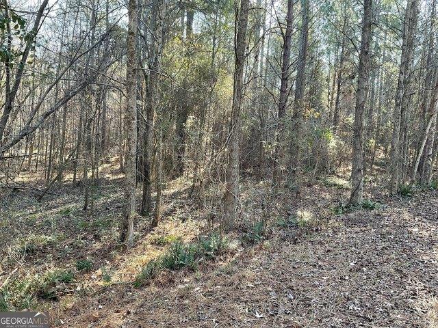 Erskine Dr, Monticello, GA 31064