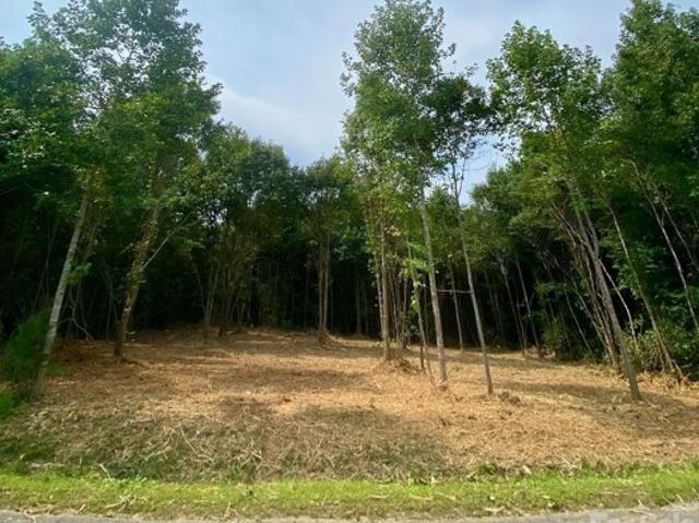 Erwin Temple Church Rd, Woodleaf, Plot For Sale