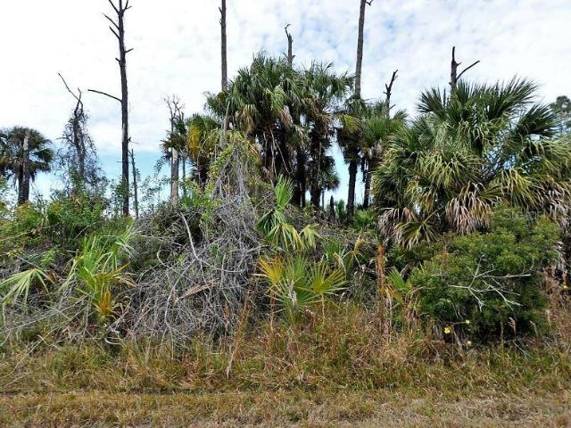 Ewen Dr Port, North Port, FL 34288 | MLS #O6231