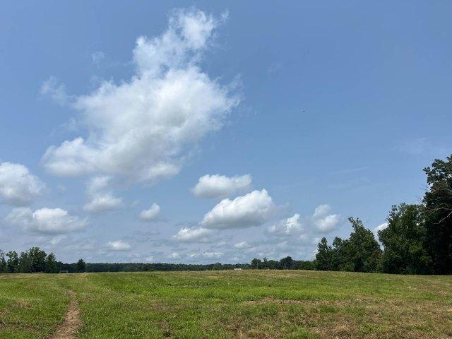 Ewing Ridge Rd, Dunnville, KY 42528