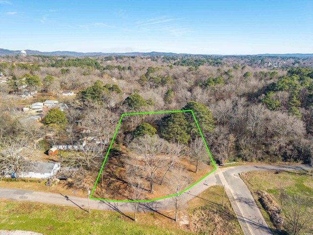 Ewing St, Hot Springs, AR 71901