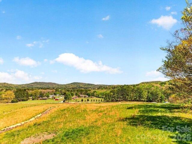 Etowah School Rd, Hendersonville, Plot For Sale