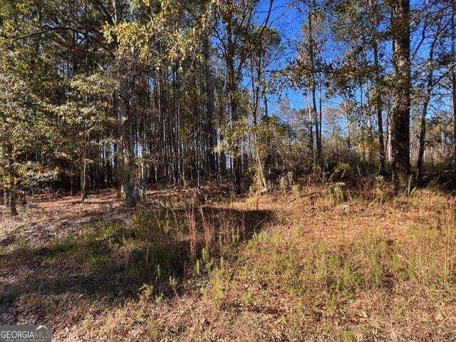 Etchison Spur, Loganville, GA 30052