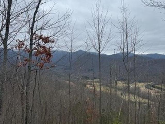 Ethan Rdg Lot 5, Hayesville, NC 28909