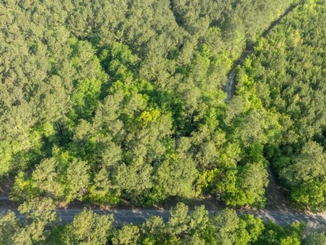 Ethridge Dr, Andrews, SC 29510