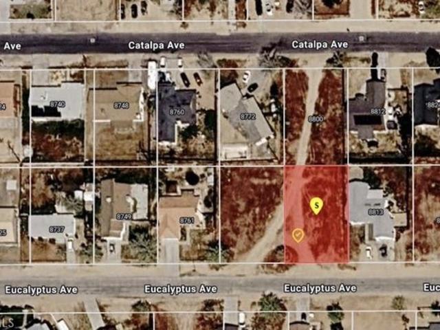 Eucaluptus, California City, CA 93505