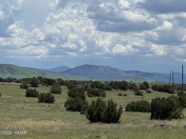 Eucalyptus Ln, Concho Valley, AZ 85924
