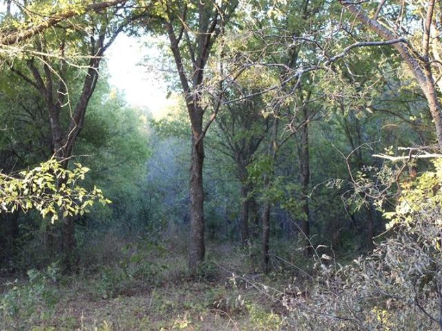 Eureka School Rd, Nocona, TX 76255