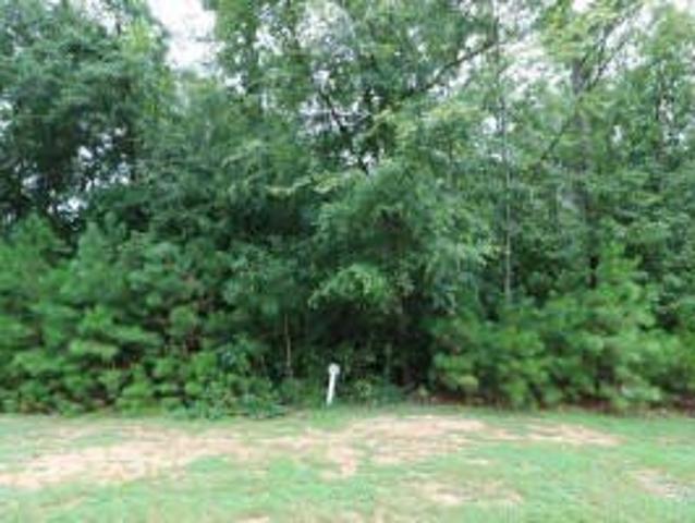 Eutaw Springs Trl Lot P37, North Augusta, SC 29860
