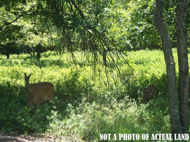 Ev1259 Chapman Cir, Albrightsville, PA 18210