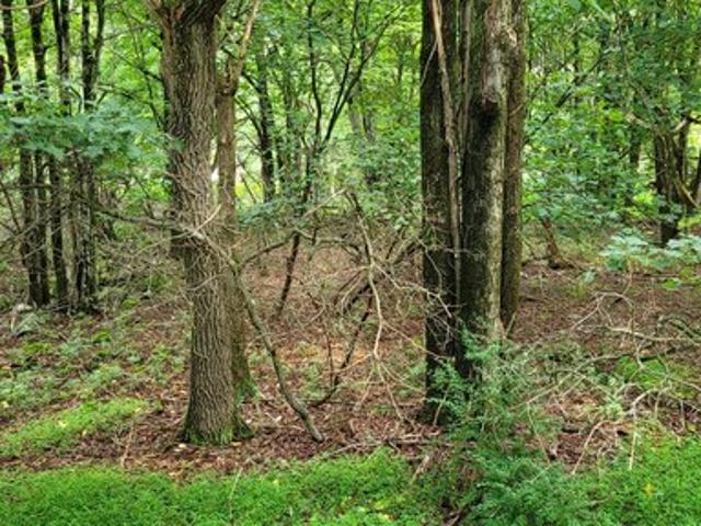 Ev1278 Lipo Way, Albrightsville, PA 18210