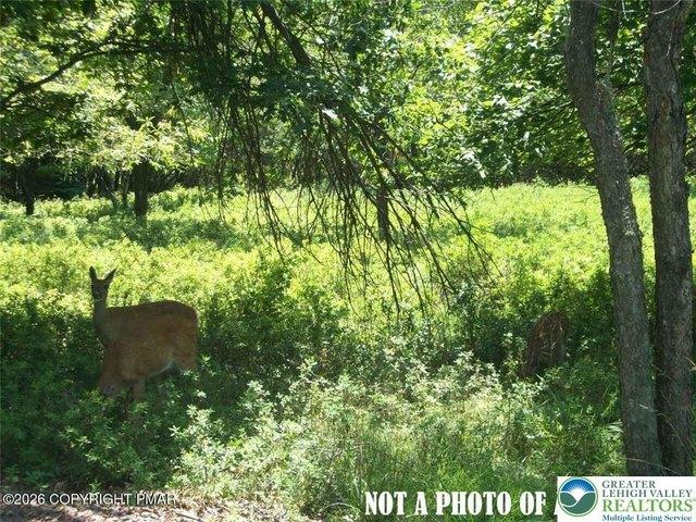 Ev815 Stony Mountain Rd, Penn Forest Township, PA 18210
