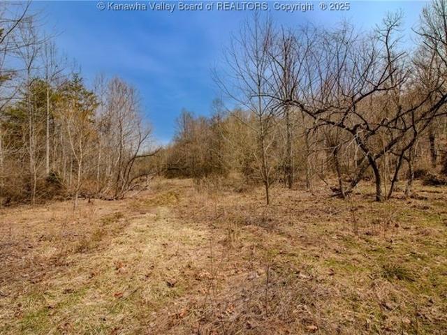 Evansview Rd, Evans, WV 25241