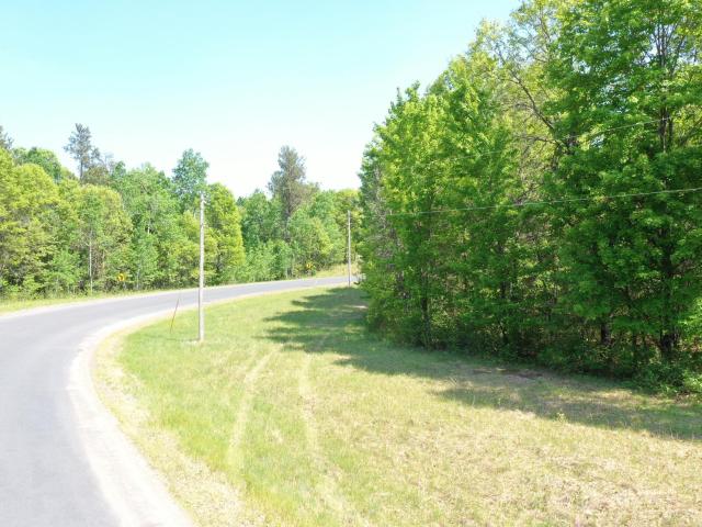 Evergreen Avenue