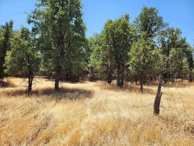 Evergreen Dr, Cottonwood, CA 96022