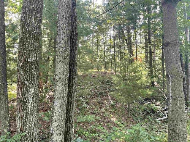 Evergreen Dr Unit 25, Wautoma, WI 54982