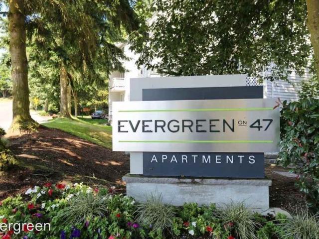Evergreen on 47 1 Bedroom Apartment for Rent at 1111 1111 47th Street SE, Lincoln, WA 98203 Everett