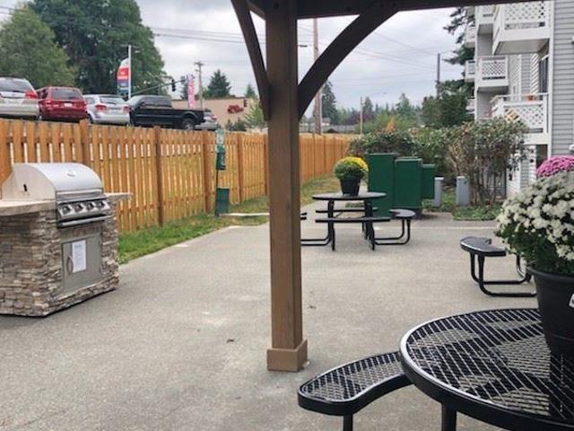 Evergreen on 47 1 Bedroom Apartment for Rent at 1111 1111 47th Street SE, Lincoln, WA 98203 Everett