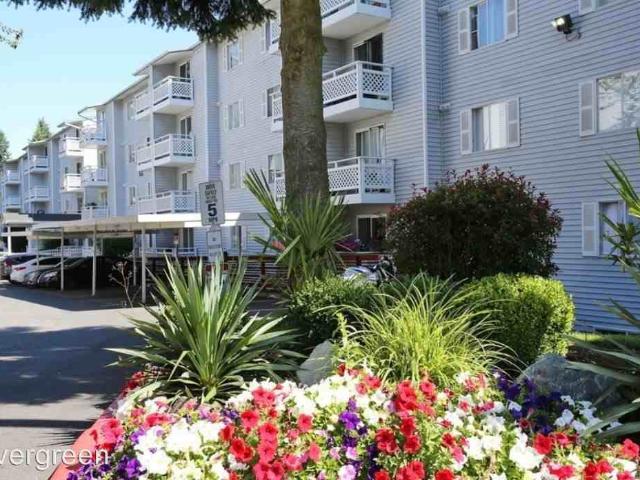 Evergreen on 47 2 Bedroom Apartment for Rent at 1111 1111 47th Street SE, Lincoln, WA 98203 Everett