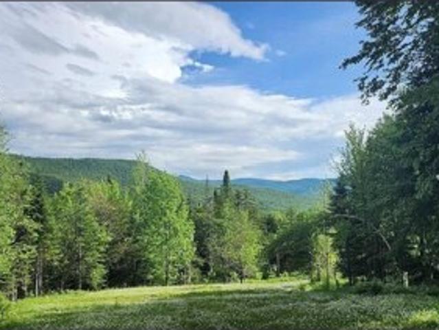 Evergreen Ln, Montgomery, Plot For Sale