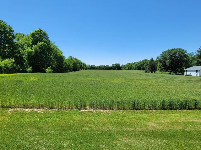 Evergreen Road