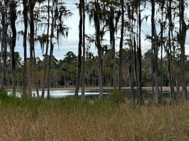Everest Dr, Chipley, FL 32428
