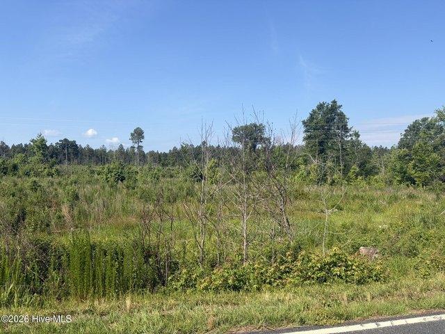 Everett Chappell Rd, Ellerbe, NC 28338