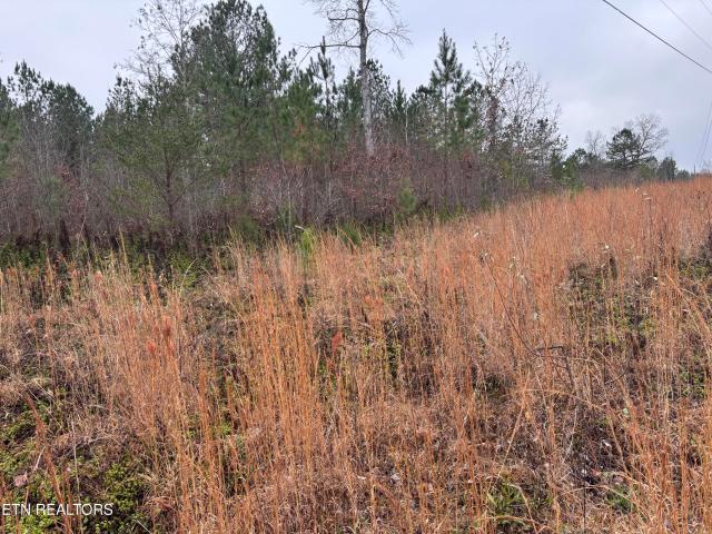 Everett Lane, Robbins, TN 37852
