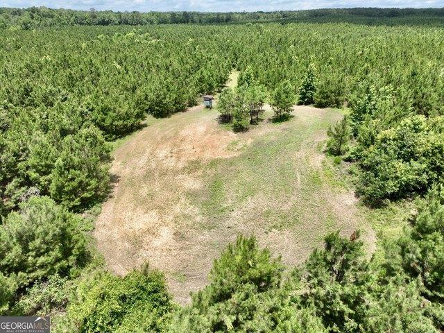 Everett Wood Rd, Ideal, GA 31041