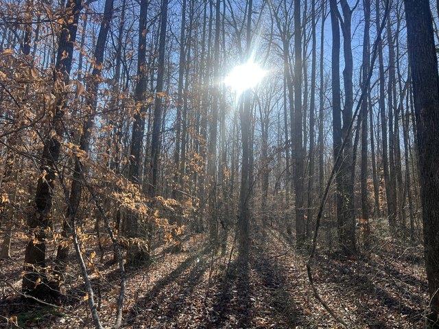 Excalibur Trl, Cedar Grove, TN 38321