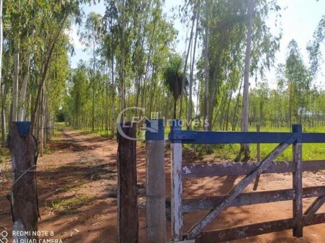 Excelente Chácara, 15.5 Ha, formada