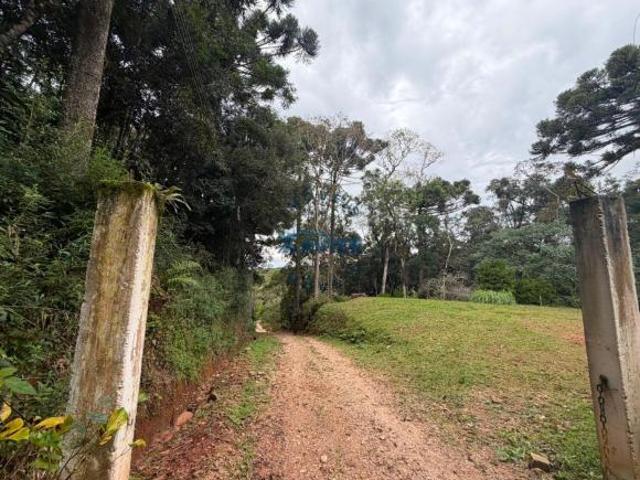 Excelente Chácara à Venda com 10.563 m²em Campo Largo a 7 Minutos do Centro