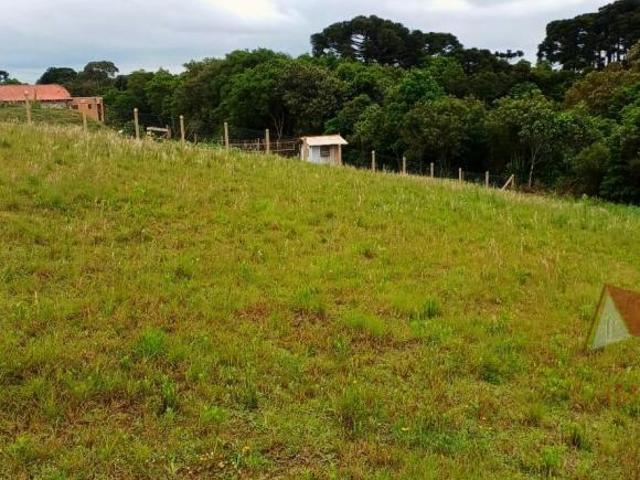 Excelente Chácara a venda sem benfeitorias