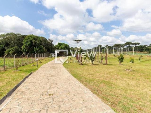 EXCELENTE CHÁCARA COM CASA MOBILIADA NA COLÔNIA MU