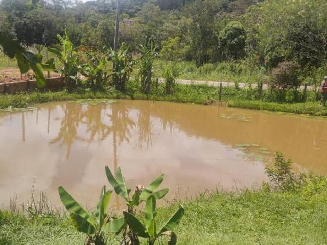 EXCELENTE CHÁCARA COM LAGO APENAS 300 METROS DO ASFALTO EM JUQUITIBA SP!