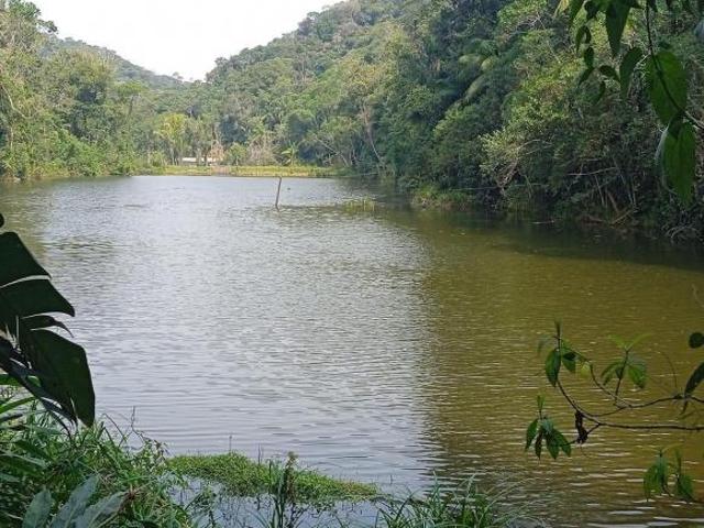 EXCELENTE CHÁCARA COM LAGOS E NASCENTE COD: 5370 F: 11 97302 9229 CESAR