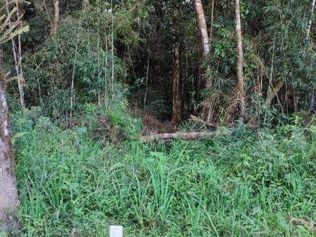 EXCELENTE CHACARA DOCUMENTADA NO BAIRRO BORDA DO CAMPO, AREA COM 20.000 M2