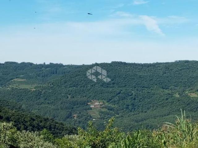 Excelente Chácara na Serra Gaúcha