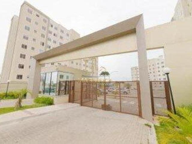 Excelente Apartamento no Uberaba | Ótimo para Mora