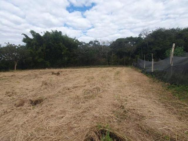 Excelente Área Urbana para Empreendimento – 7.774 m² em Localização Estratégica