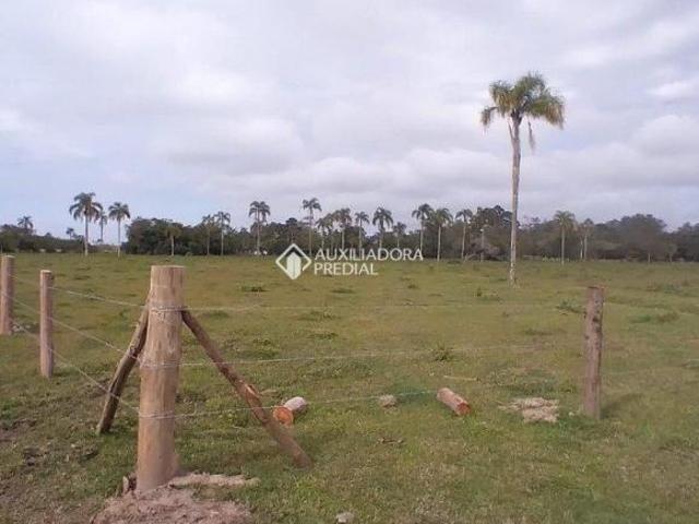 EXCELENTE AREA PLANA